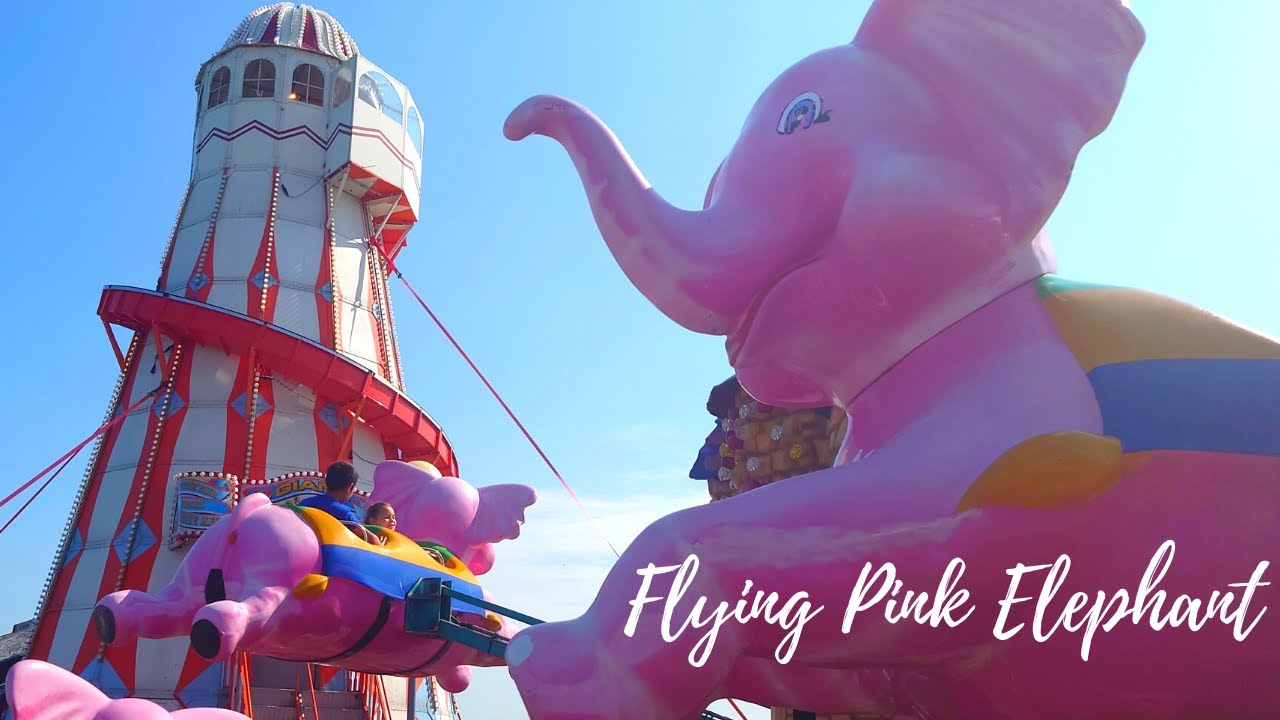 THE FLYING PINK ELEPHANT - YouTube