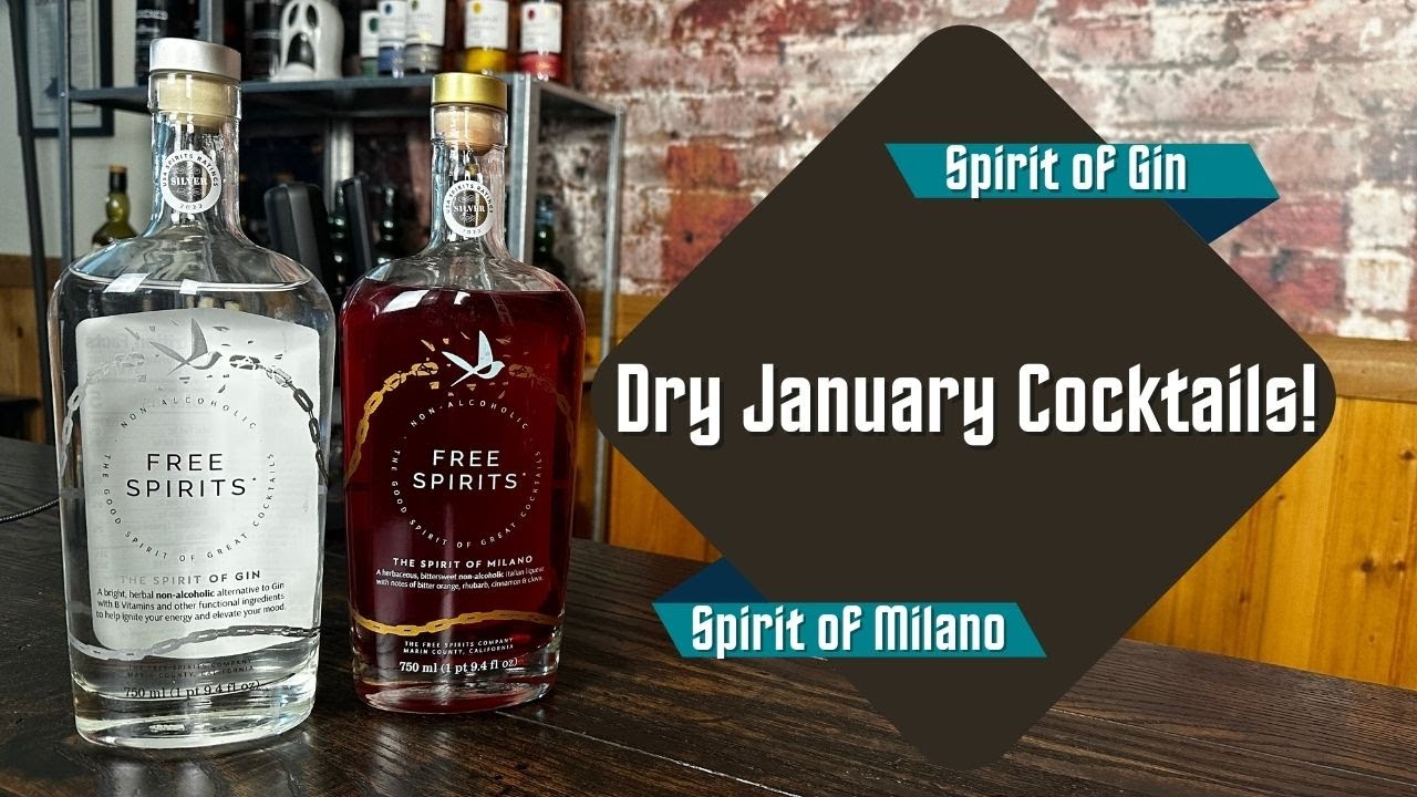 Dry January Cocktails with Free Spirits Gin and Milano making a Negroni ...