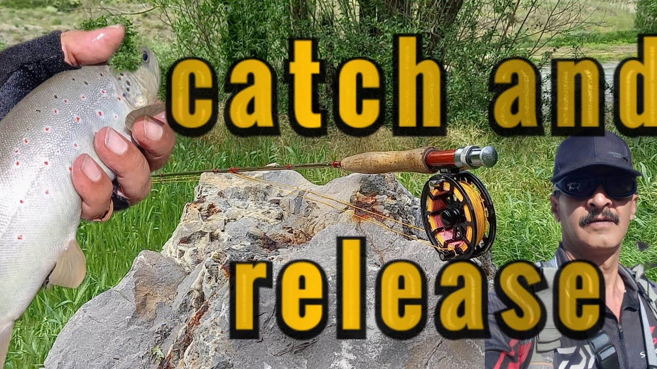 Fly fishing training with Mehrdad - YouTube