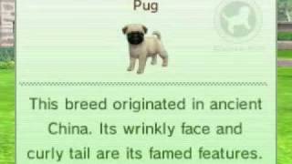 3DS Nintendogs Cats Pug The Models Resource, 50% OFF