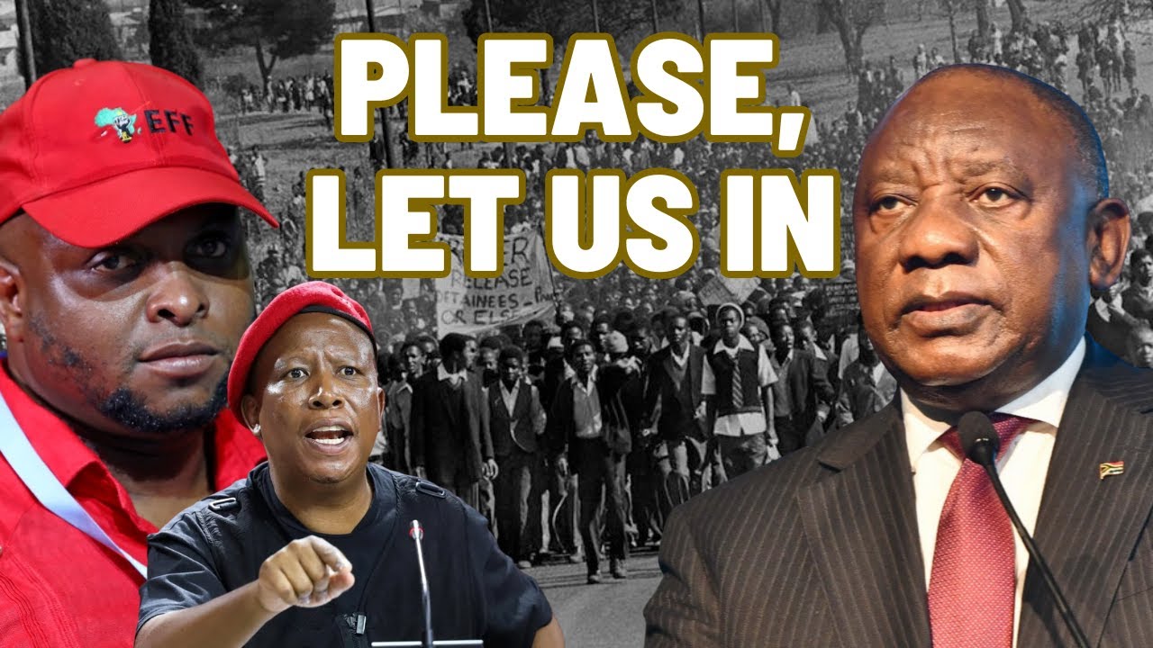 EFF BEGS ANC FOR ''GNU'' SPOT... - YouTube