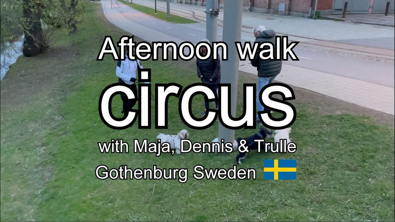 AFTERNOON WALK CIRCUS (4K) - YouTube