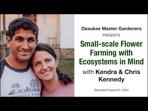 Small-scale Flower Farming with Ecosystems in Mind - YouTube