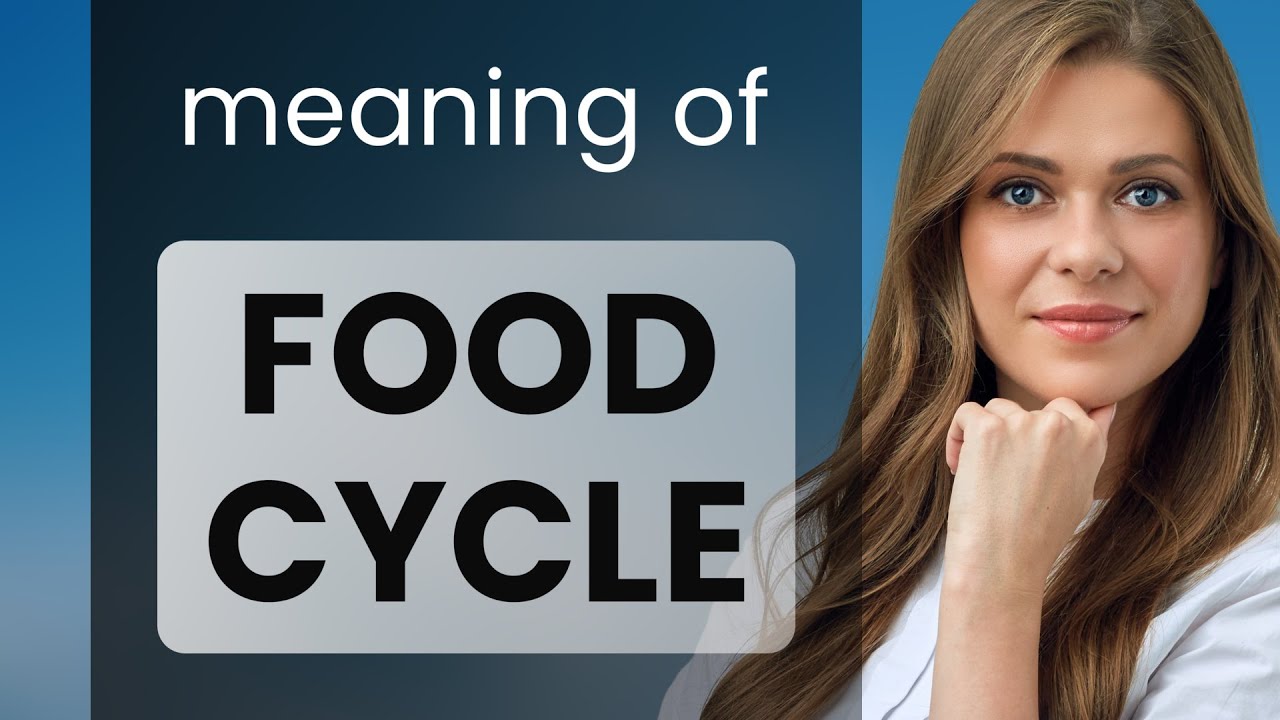 Food cycle — what is FOOD CYCLE definition - YouTube