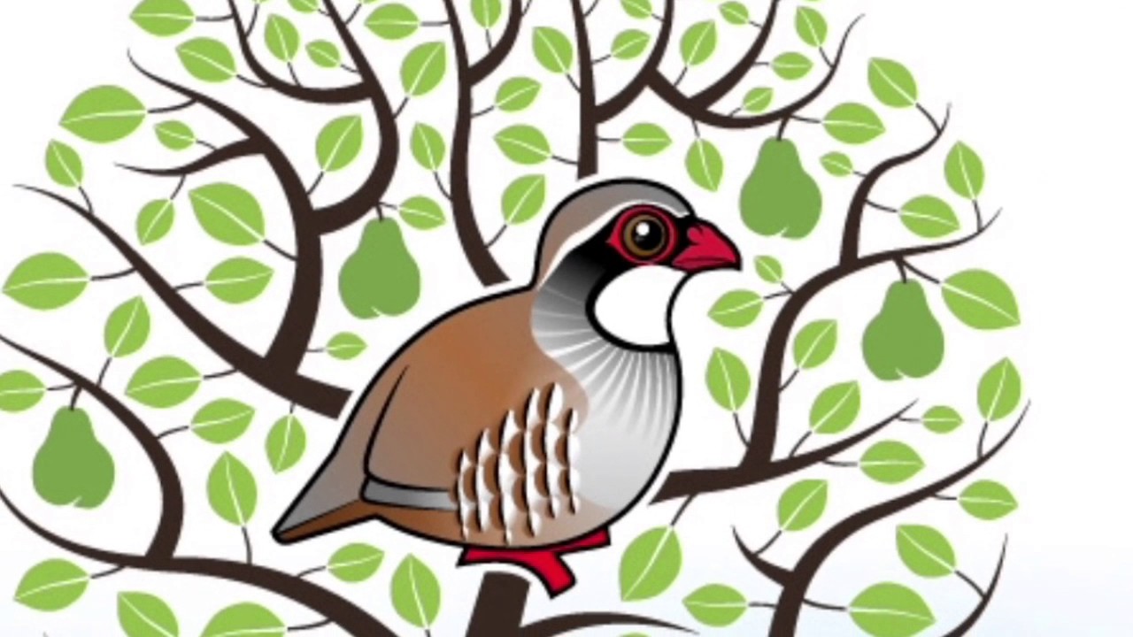 Who Is Stealing The 12 Days Of Christmas - YouTube