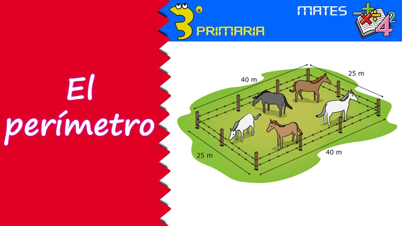 Perímetro 3er Grado Amazon.com: NewPath Learning 23 6946 Juego Del