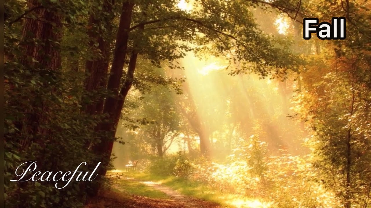 Amazing colorful landscape & ultimate relaxing music 🎶 - Please soul # ...