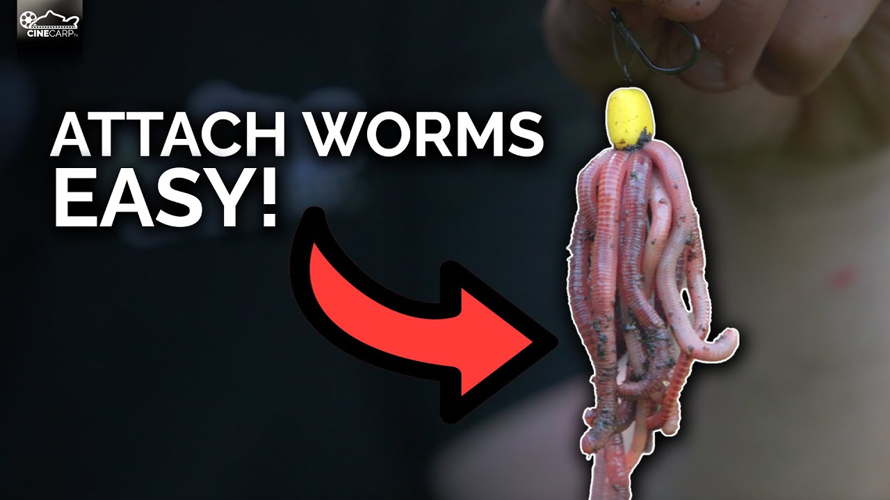 🪱 The Ultimate Worm Rig - YouTube