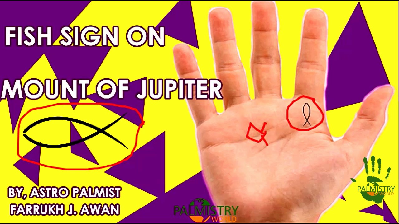 FISH SIGN ON MOUNT OF JUPITER IN PALMISTRY URDU HINDI - YouTube