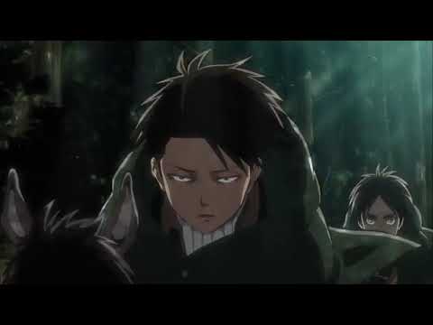 LEVI ACKERMAN|PEE PEE