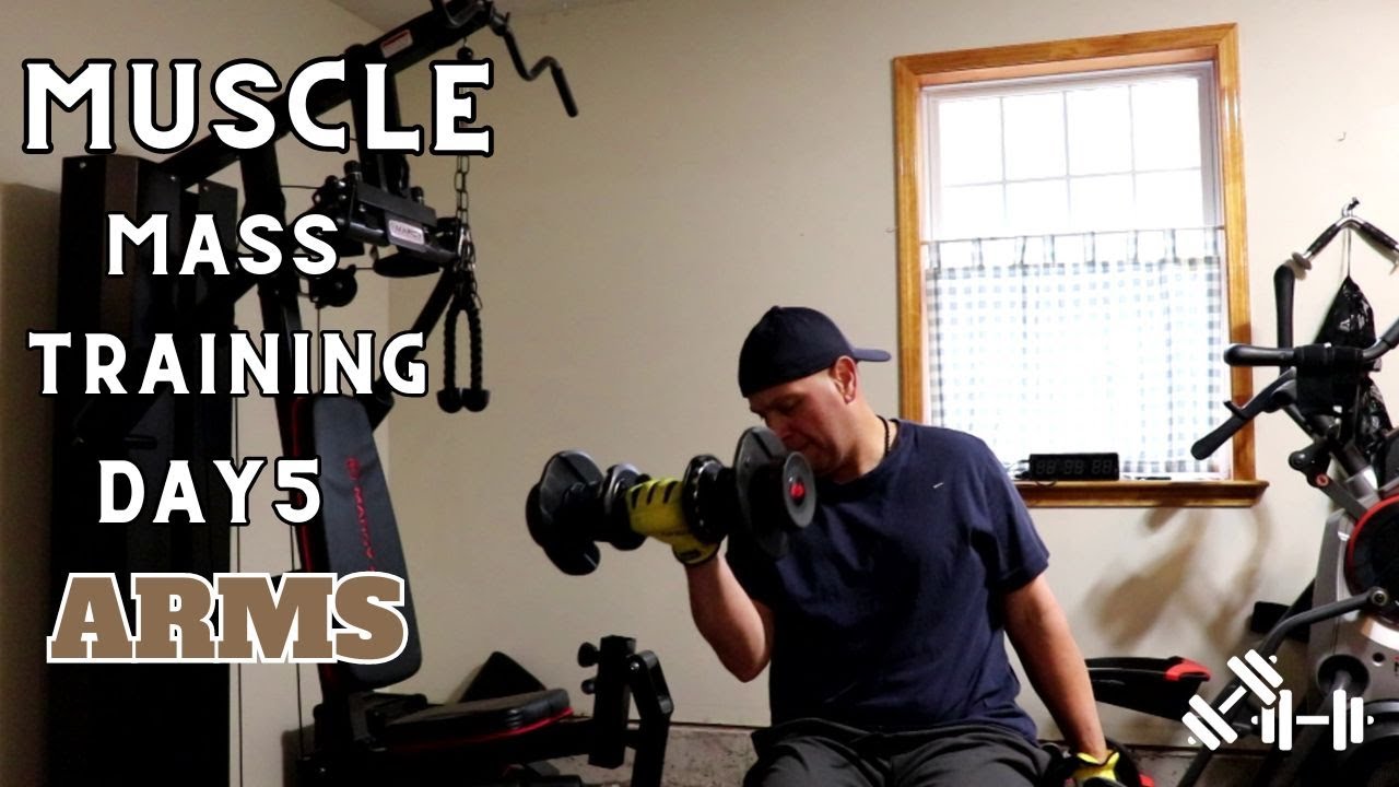Muscle Mass Training Day 5 | Arms - YouTube