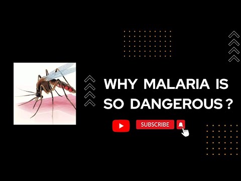 Why Malaria is so dangerous? | Cause, Symptoms, Treatment and ...