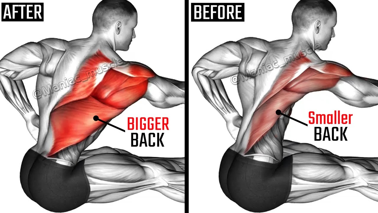 8 The Best Exercise Back workout WITH DUMBBELLS -[]ــــ[]- - YouTube