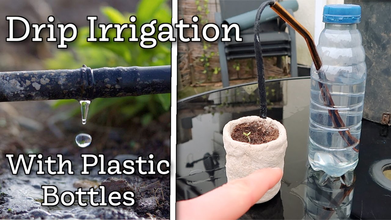 How To Make A Water Drip Irrigation System With Plastic Bottles - YouTube