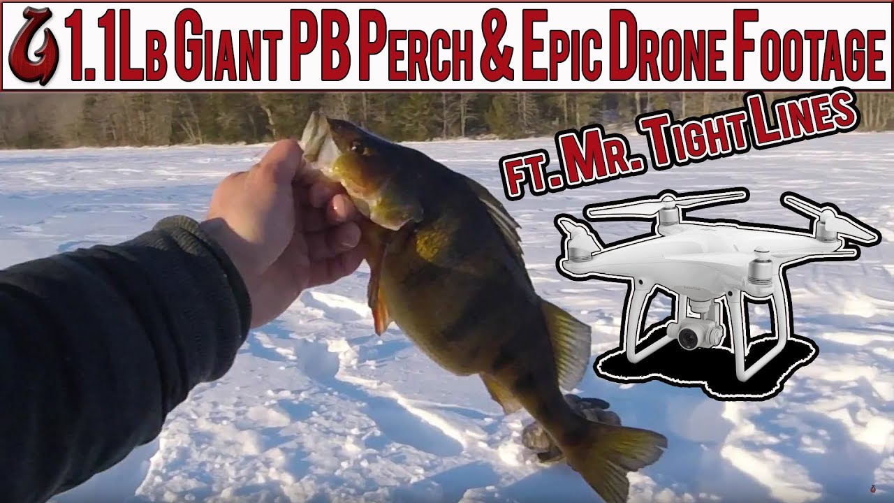 Personal Best GIANT Perch 1.1lb DJI Phantom 4 Pro Drone Ice Fishing ...