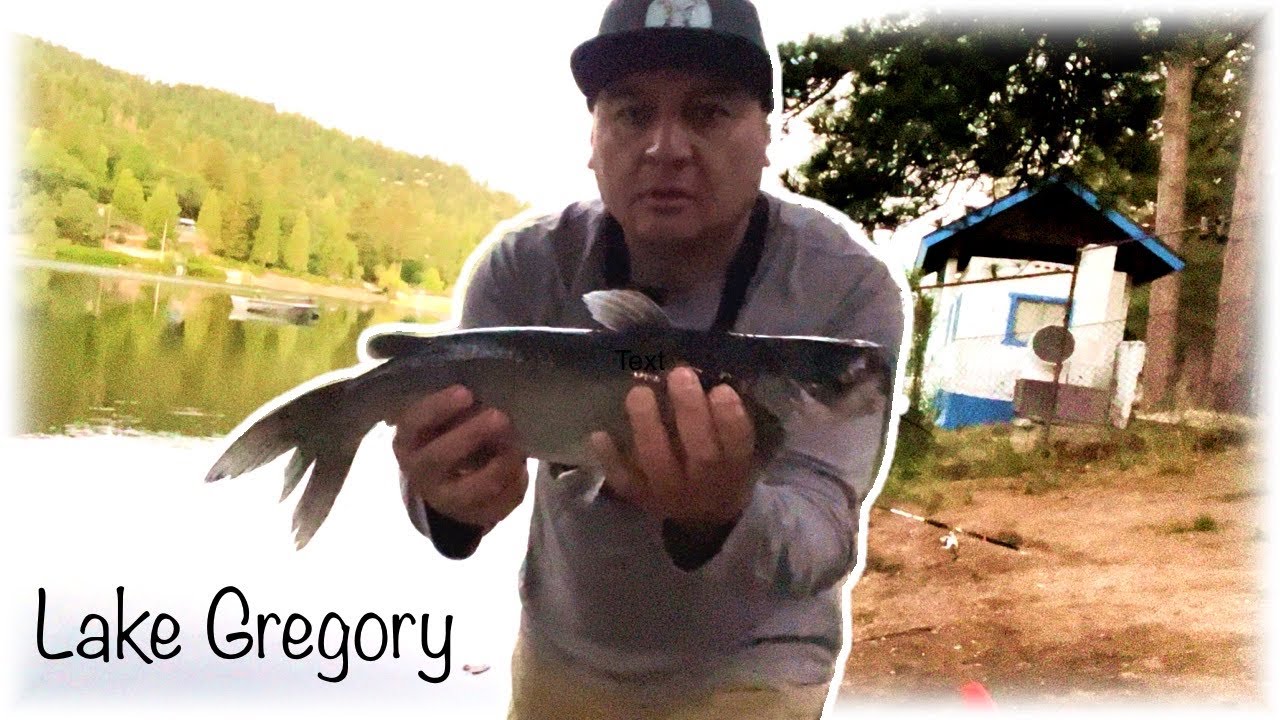 FISHING @ LAKE GREGORY!!!!!! PESCANDO en LAKE GREGORY - YouTube