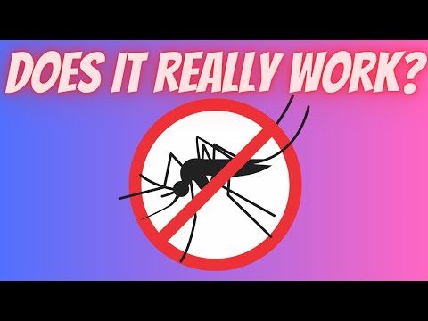 How Bad Are The Mosquitoes In Thailand