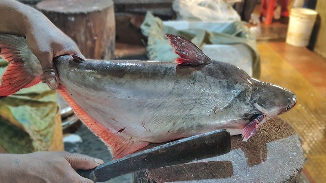 Fish Cutting Skills || Amazing Big Pangas Fish Skinning & Chopping By ...