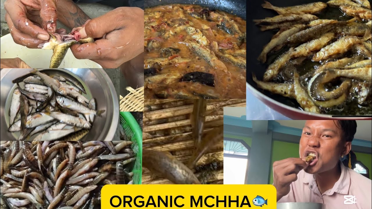 LOCAL MACHHA🐟 - YouTube
