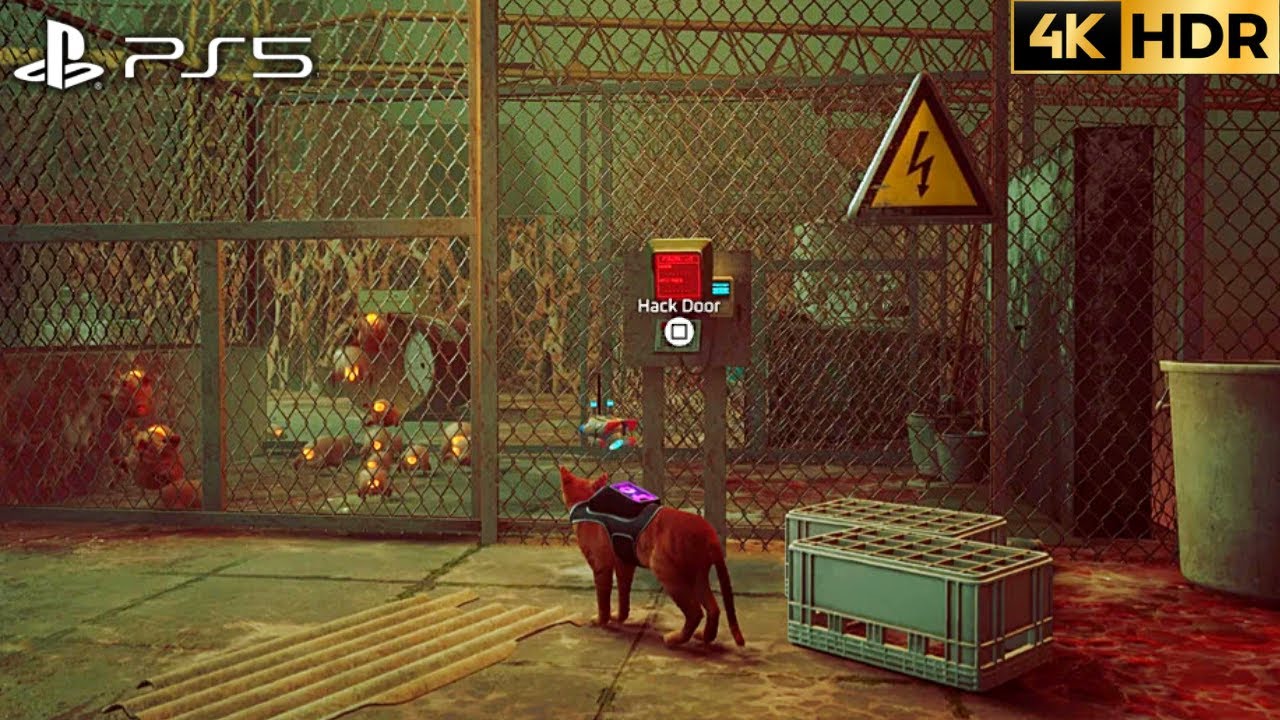 STRAY (PS5) Chapter 5: Rooftops Walkthrough (4K HDR) - YouTube