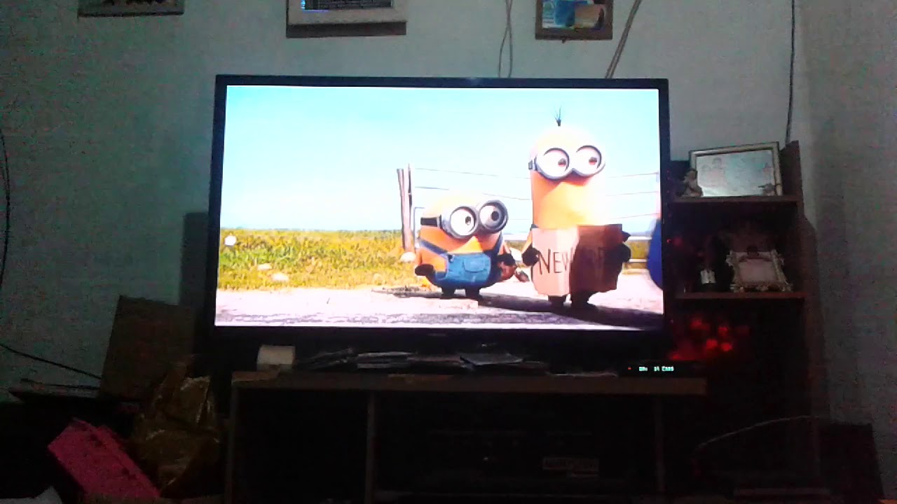 Estou assistindo os minions no cartoon network - YouTube