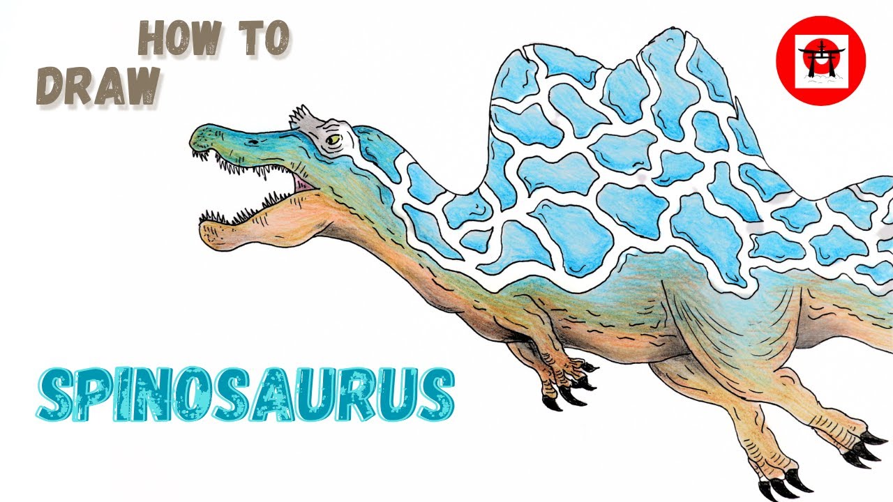 How to draw a Paleo Accurate Spinosaurus - YouTube