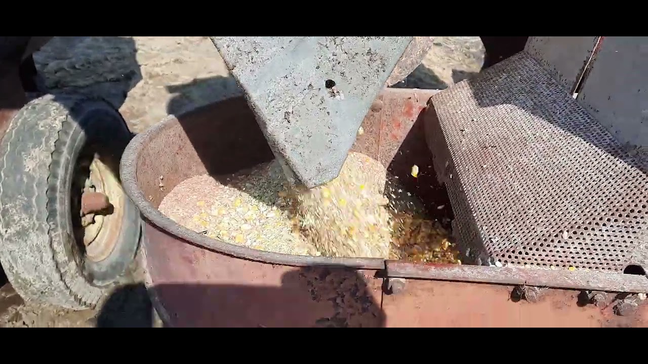 high moisture corn - YouTube