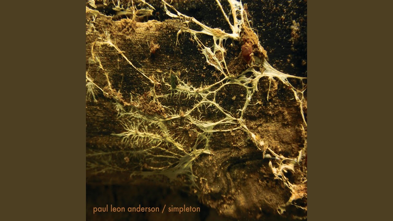 Chromalveolata - YouTube