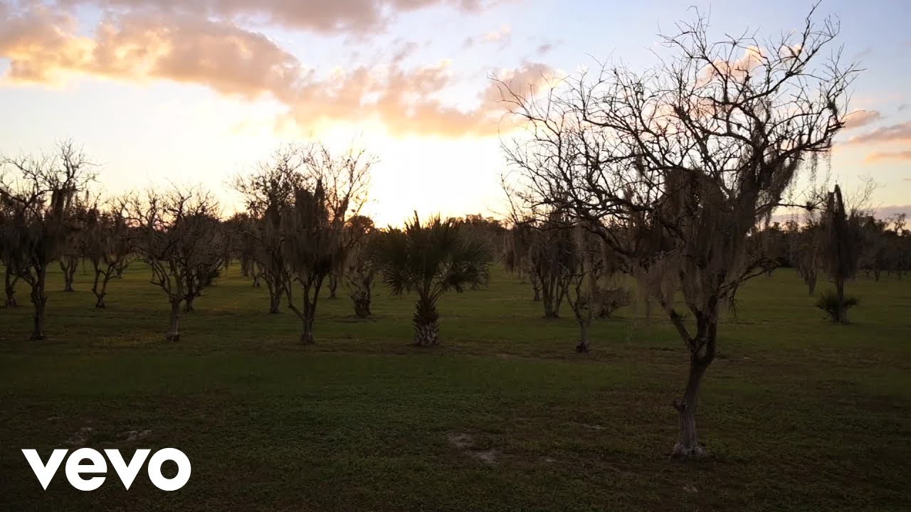 The Champ Jaxon Band - Born in the Grove - YouTube