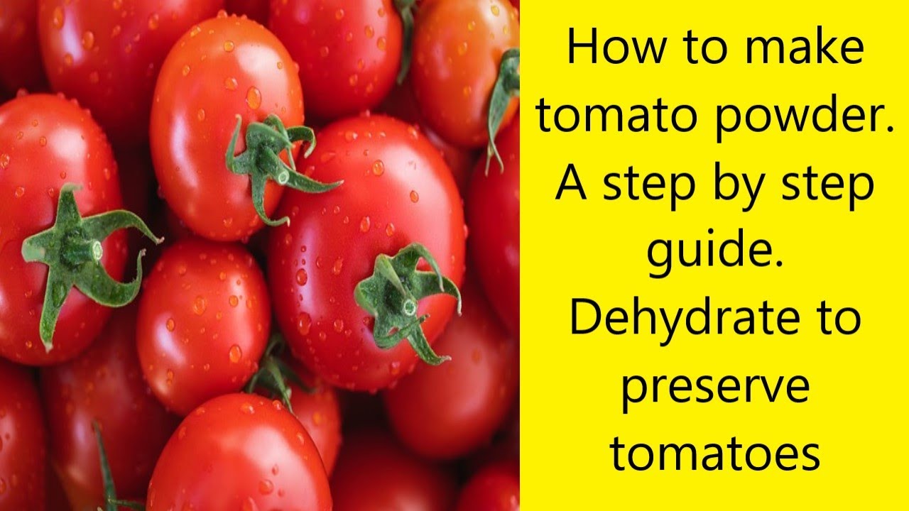 How to make tomato powder A step by step guide Dehydrate to preserve ...
