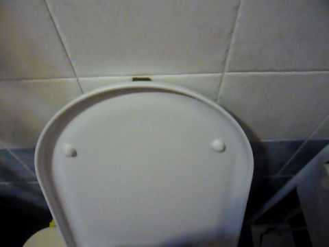 Scoreggia nel Water - YouTube