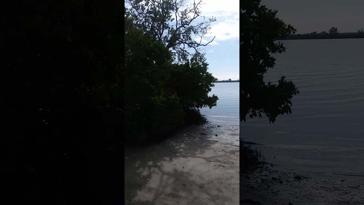 Gandy Beach AKA The Redneck Riviera St Petersburg Florida Vandweller ...