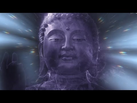 Shinjin Rising Ep1: Shinjin is Very Special, Transformative and Complex ...