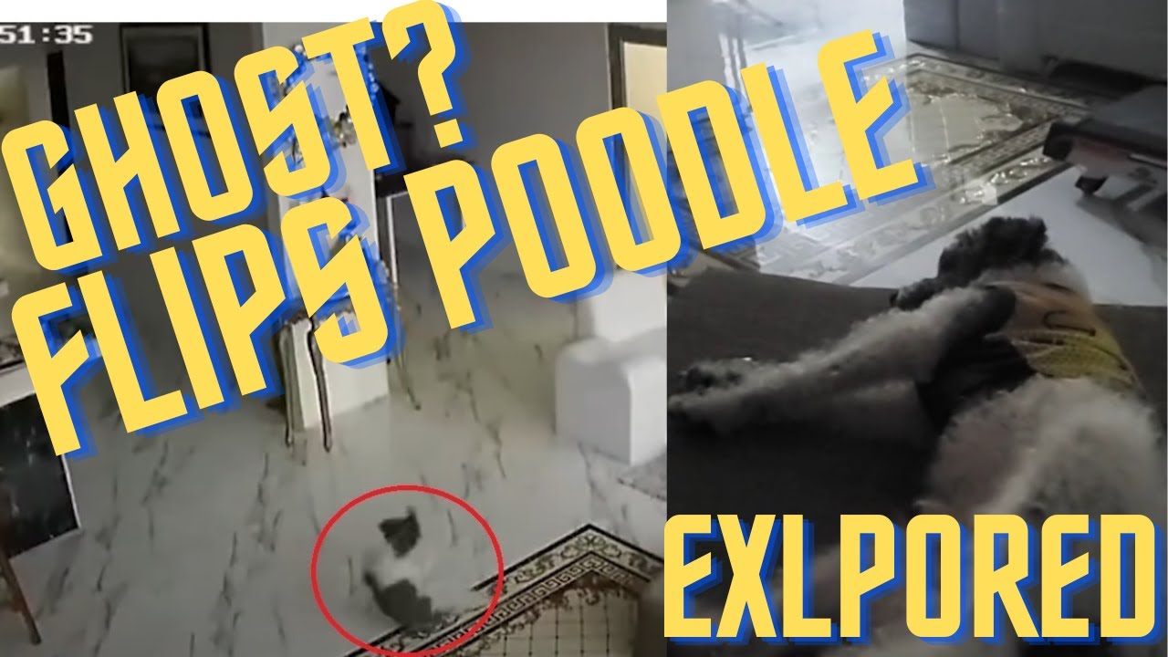 Examining the Evidence of the Viral Tik Tok Ghost Video - YouTube