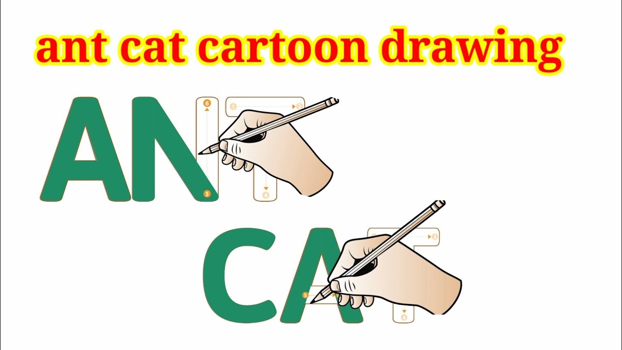 ant cat video | ant cat cartoon | ant cat cartoon drawing | cat and dog ...