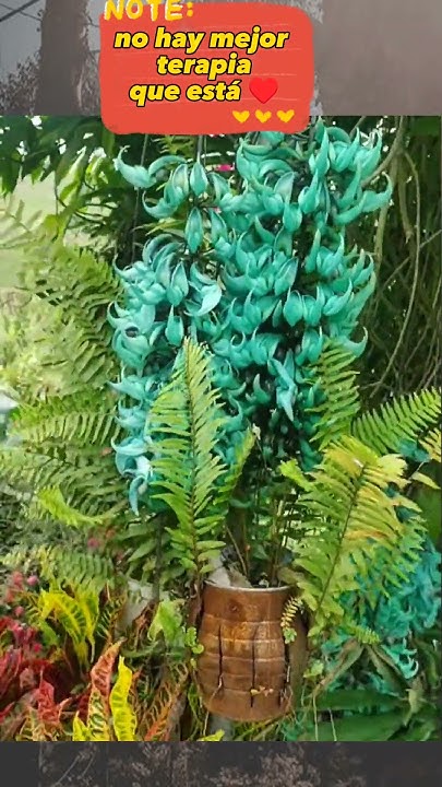 Está parte de mi vida se llama felicidad😍 - YouTube