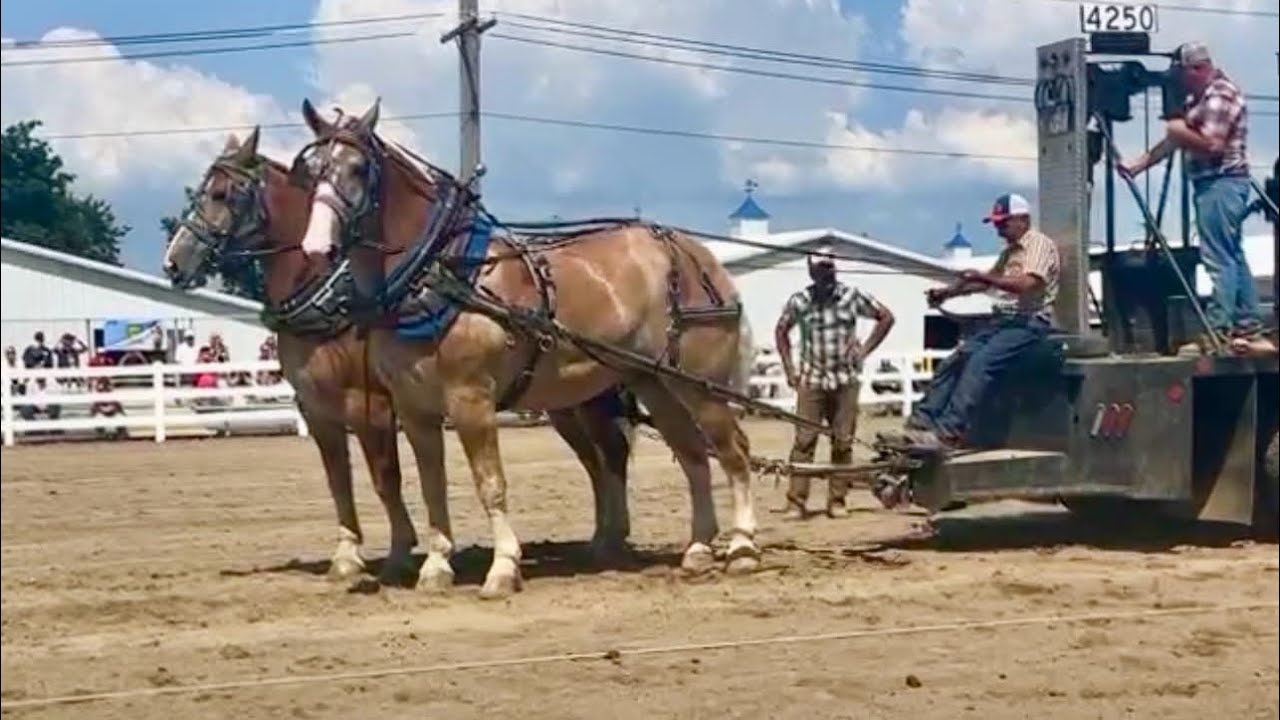 Heavyweight horse pull at Erie County Fair in Hamburg, NY 2024 - YouTube