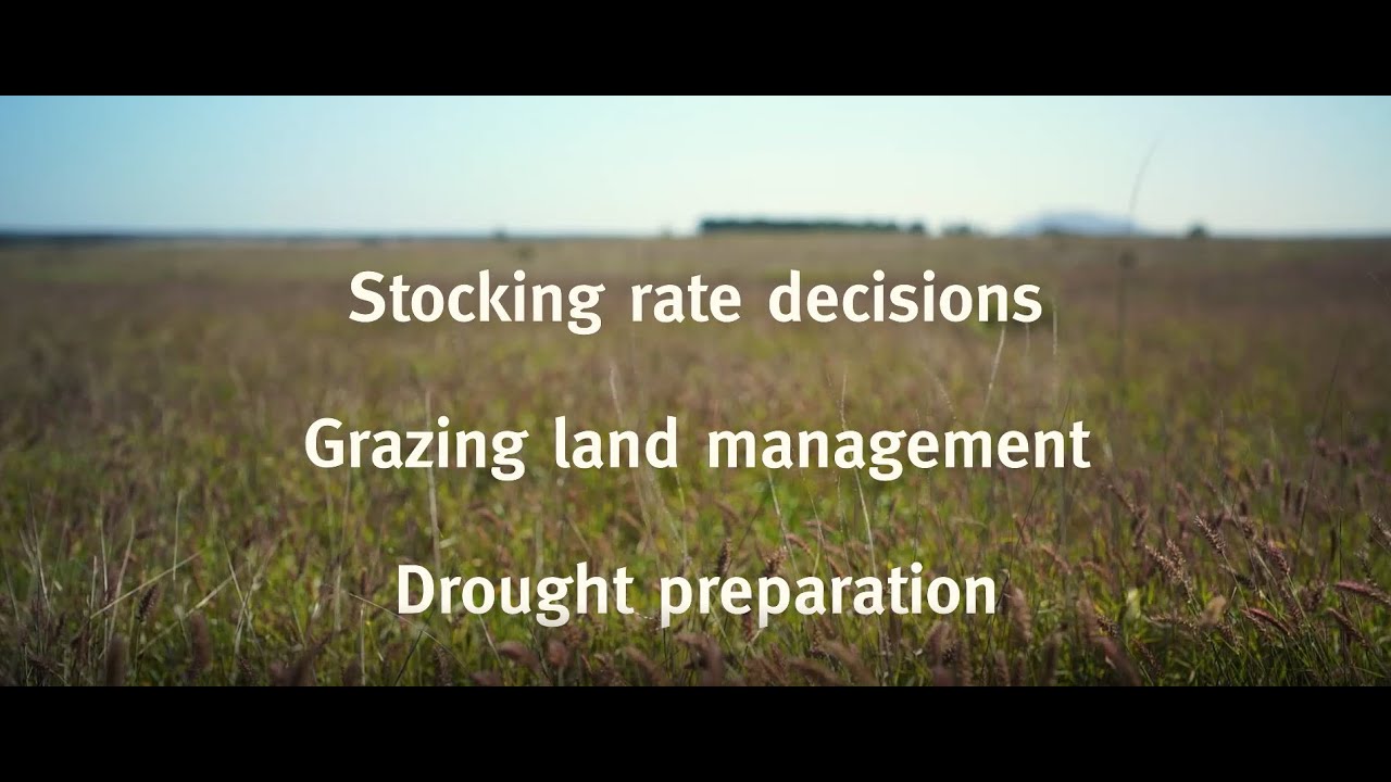 The Pasture Growth Alert report—the latest addition to the FORAGE suite ...