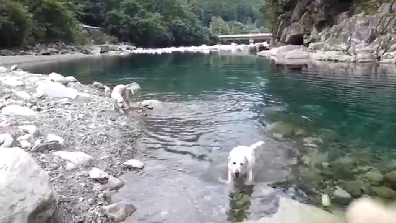 Choshi-River 2014/08/26 - YouTube