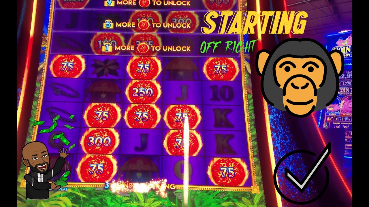 🤣A Monkey and A Wolf Walk into Caesar's Virginia...🤑🤯 - YouTube