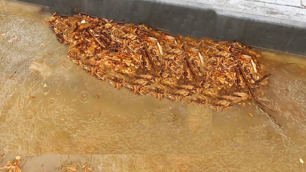 Heavy Rain, Heavy Mud Manually Unblocking a Drain Covered in Dirt-Drain ...