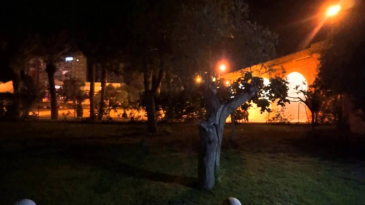 Macro Botellón Campoamor - YouTube