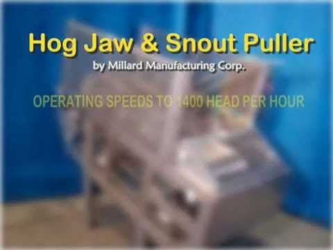 Hog Jaw and Snout Puller in Motion - YouTube