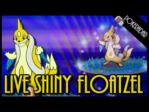 LIVE!! Shiny FLOATZEL + SHINY PATCH at chain of 40!! - YouTube