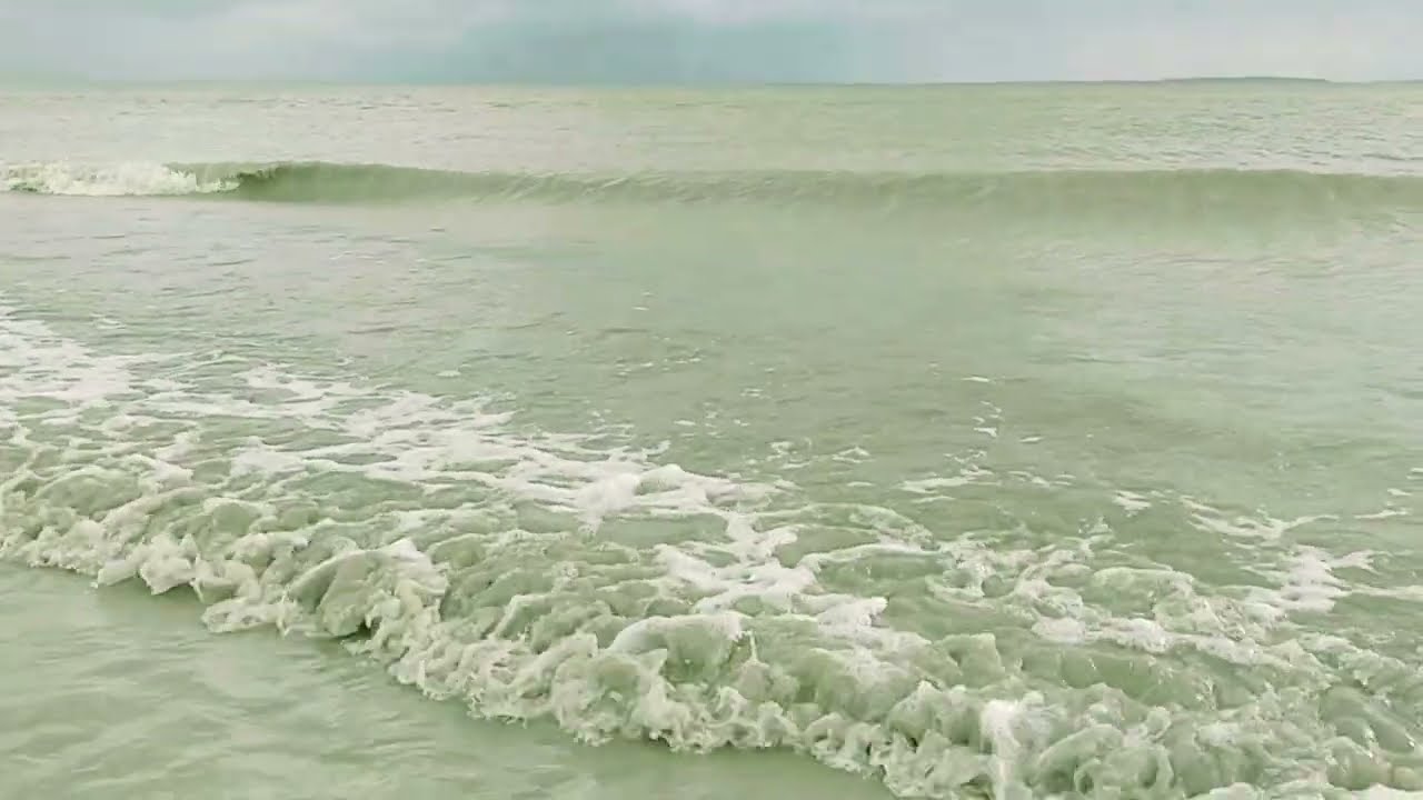 Bondhura tomader kichu bolte chai ।। বন্ধুরা তোমাদের কিছু বলতে চাই ।।#mozar_capsule - YouTube