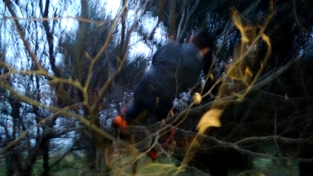 The most random video I have ever made😂 - YouTube