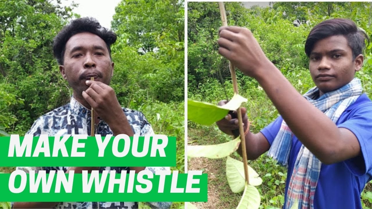 How to make a whistle | Loud whistle with a plant stem - YouTube