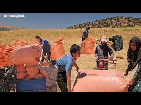 Akram and Mohsen Buy Hay to Prepare Their Goats for Autumn and Winter 🐐🌾