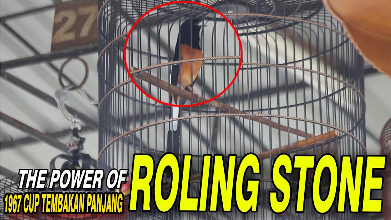 THE POWER OF ROLING STONE 1967 CUP - YouTube