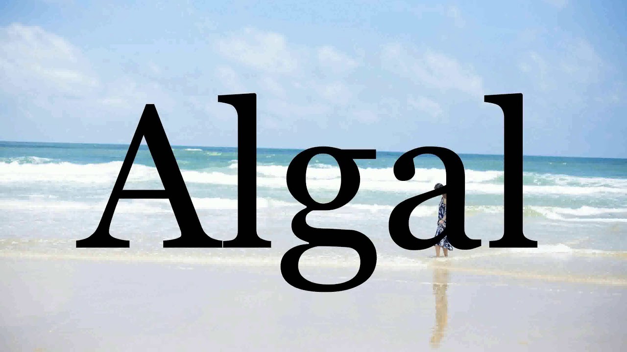 How To Pronounce Algal🌈🌈🌈🌈🌈🌈Pronunciation Of Algal - YouTube